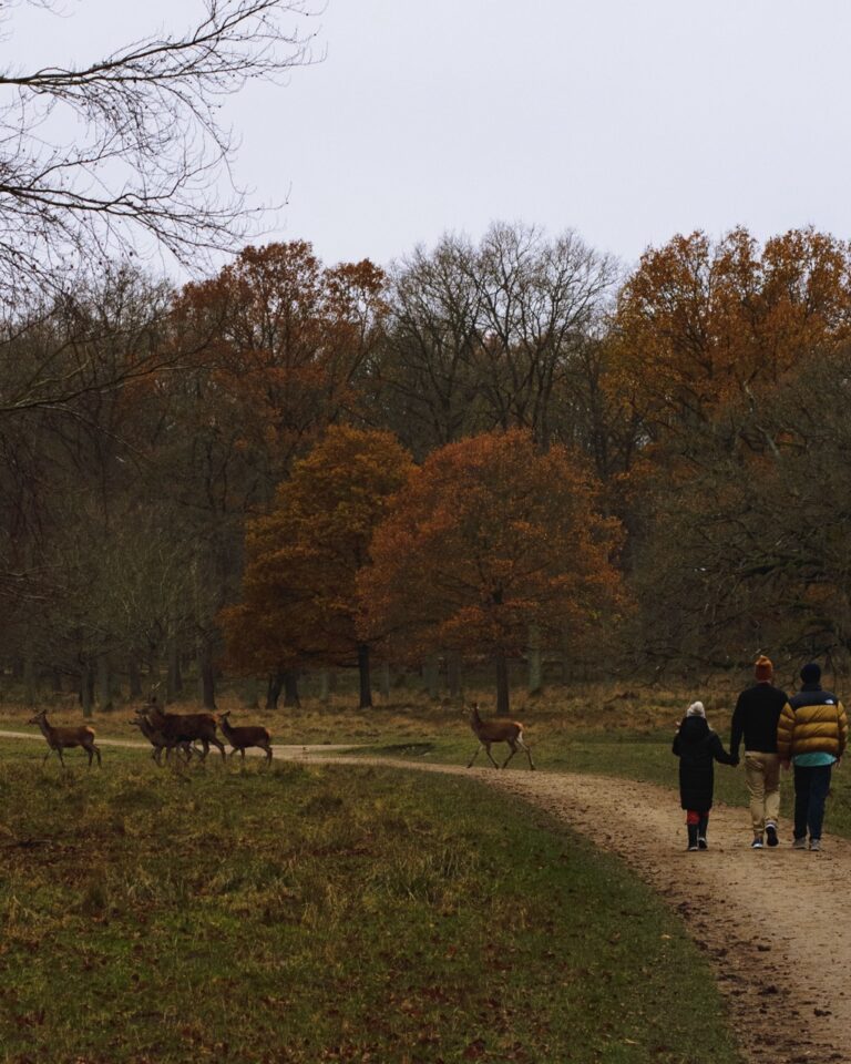 A Local's Guide to Autumn in Copenhagen - Danny in the North