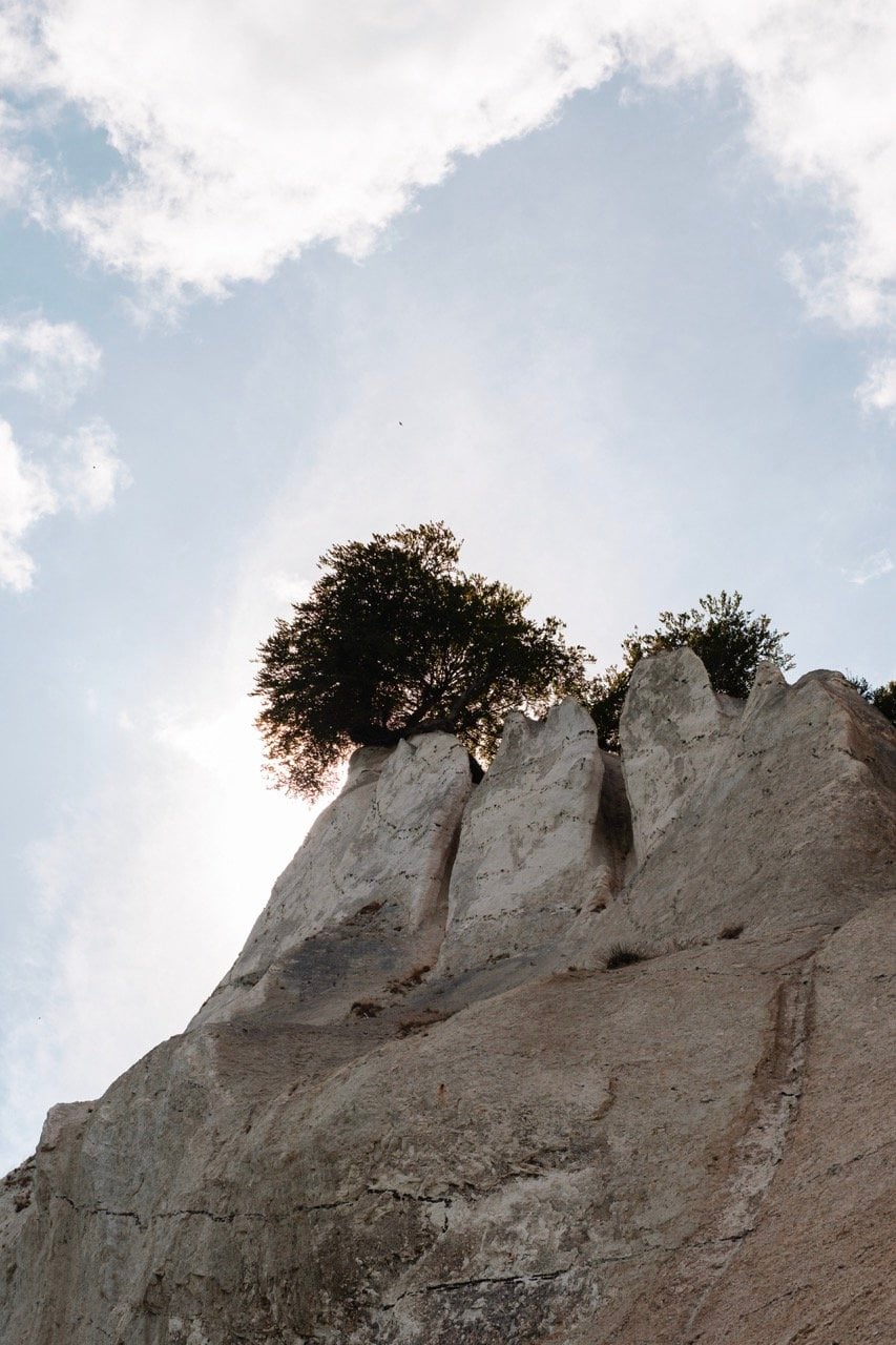A Practical Summer Guide to Møns Klint (+ Things to Do on Møn) - Danny ...