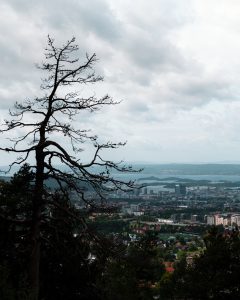 Grefsenkollen: An Easy Hike With Rewarding Views of Oslo