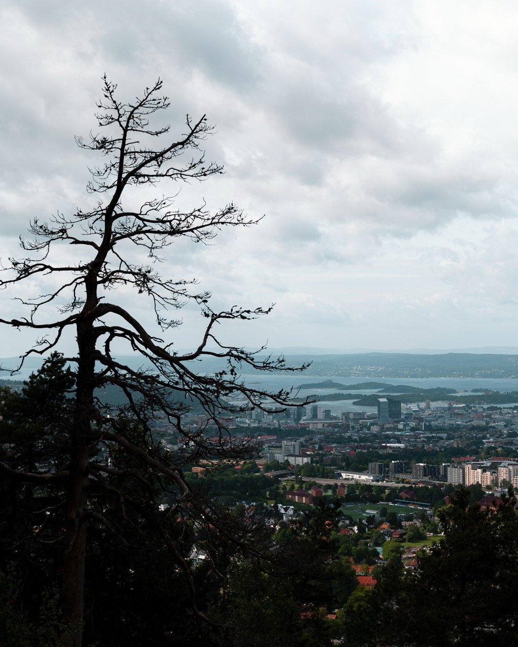 Grefsenkollen: An Easy Hike With Rewarding Views of Oslo